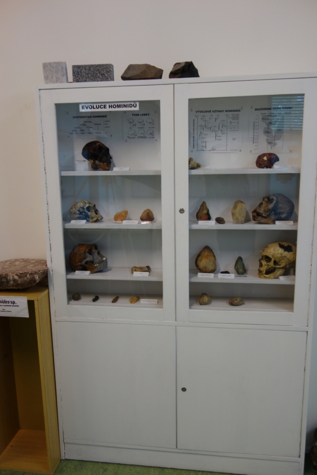 Photogallery | Department of Geology