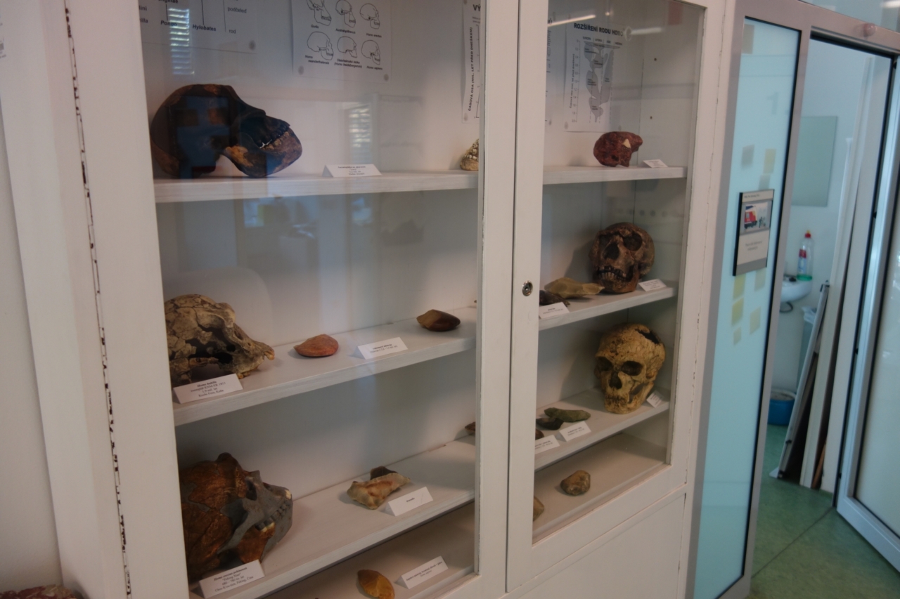 Photogallery | Department of Geology