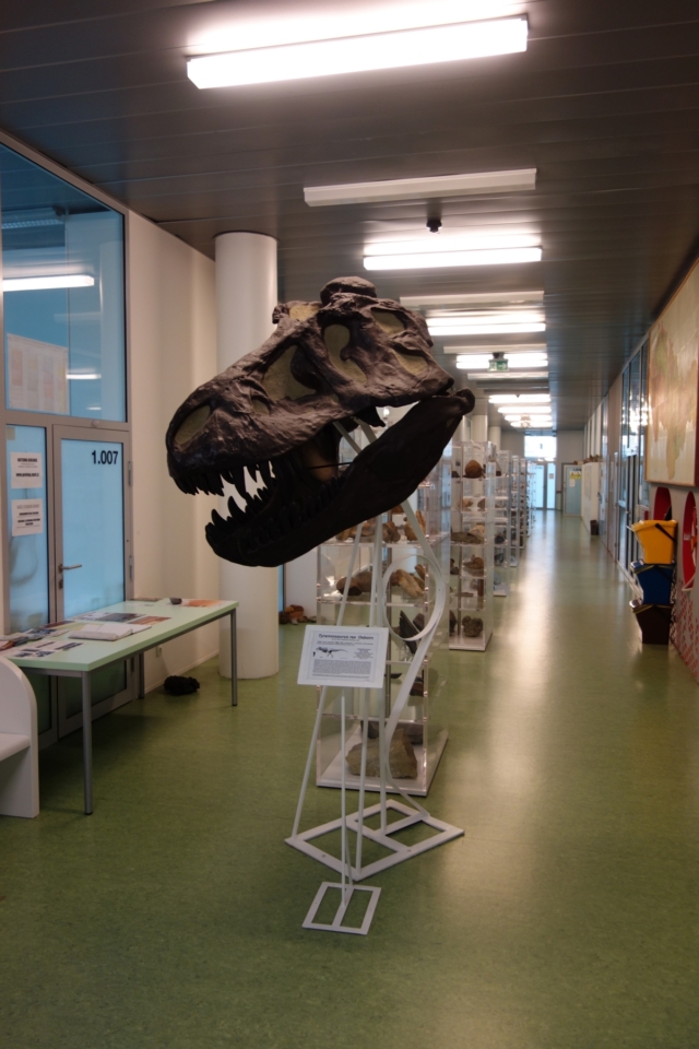 Photogallery | Department of Geology