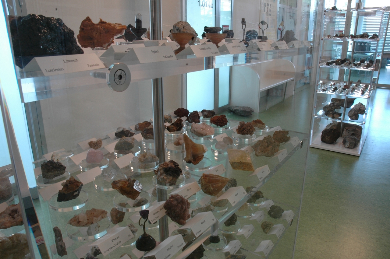 Photogallery | Department of Geology